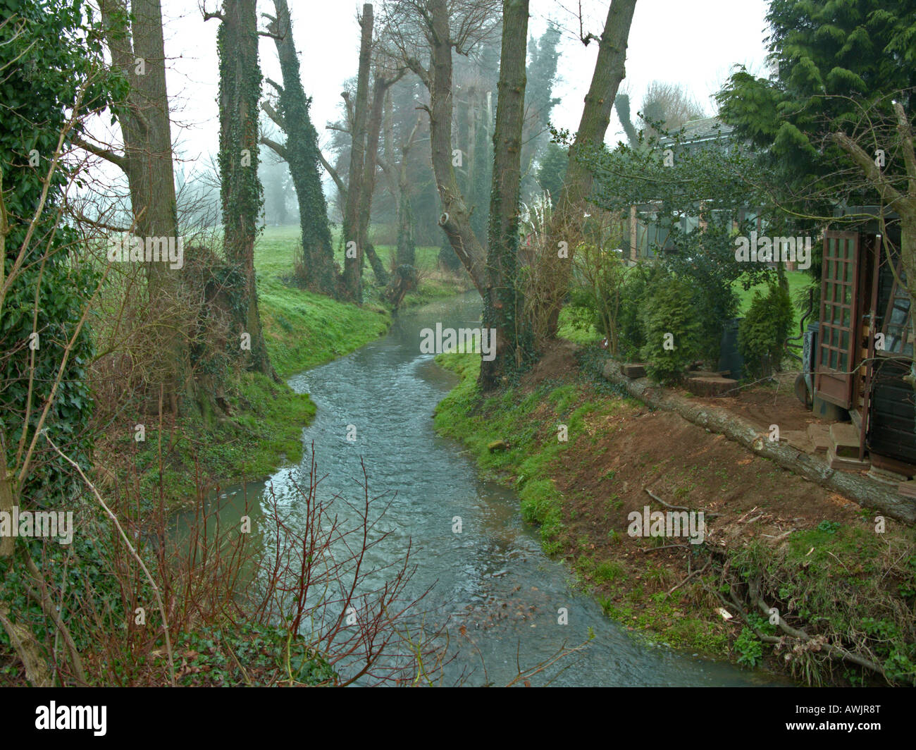 CLOPHILL, BEDFORDSHIRE, UK. 19th Feb 2008. River Flit with pollarded ...
