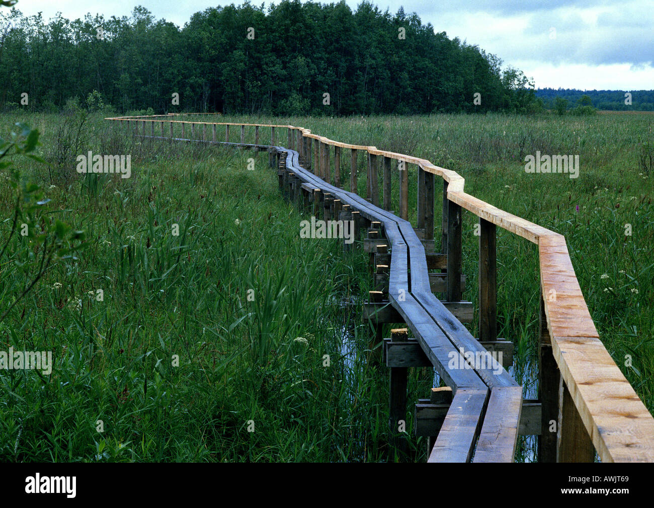Finland, bridge through marshlands Stock Photo - Alamy