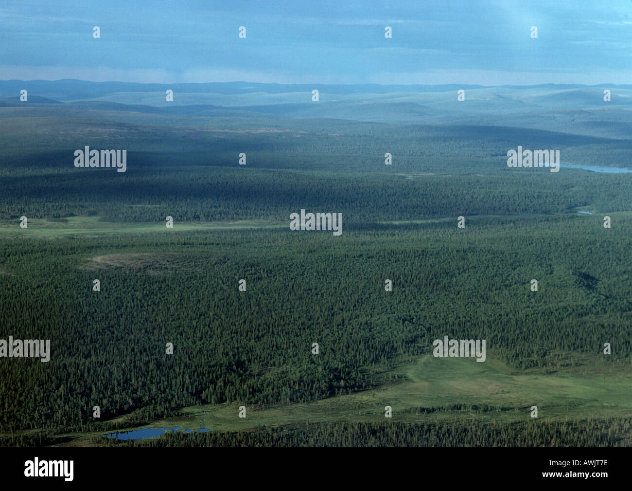Aerial perspective of forests hi-res stock photography and images - Alamy