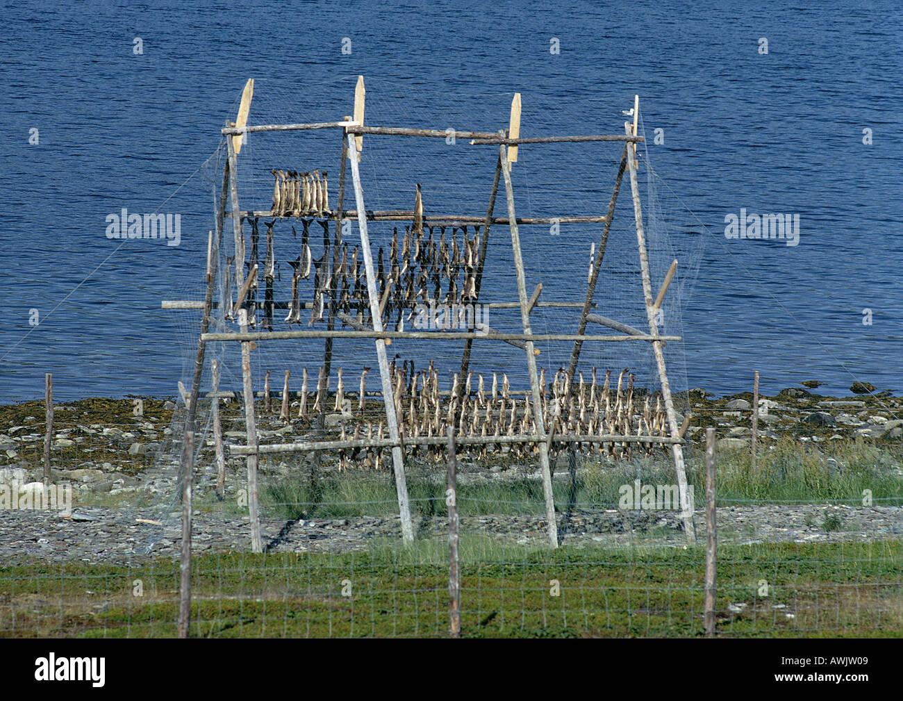 Norwegians fishing culture hi-res stock photography and images - Alamy