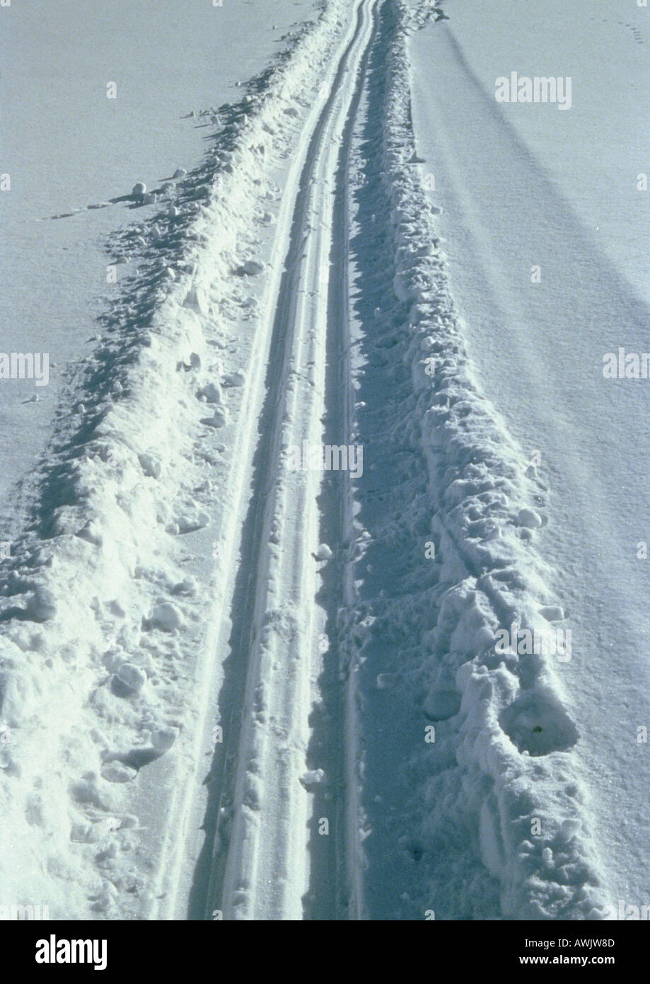 Tracks for nordic skis hi-res stock photography and images - Alamy