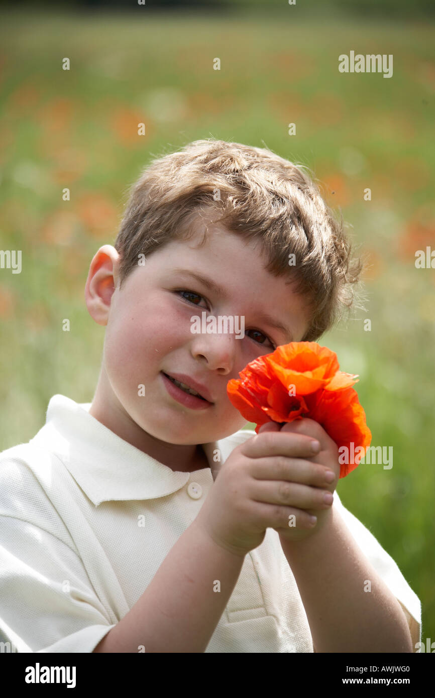 Boy child in poppy field holding poppy on Temple Island near Henley on ...
