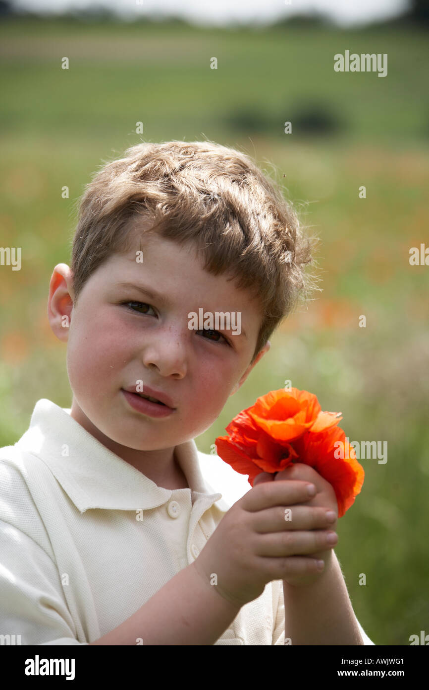 Boy child in poppy field holding poppy on Temple Island near Henley on ...