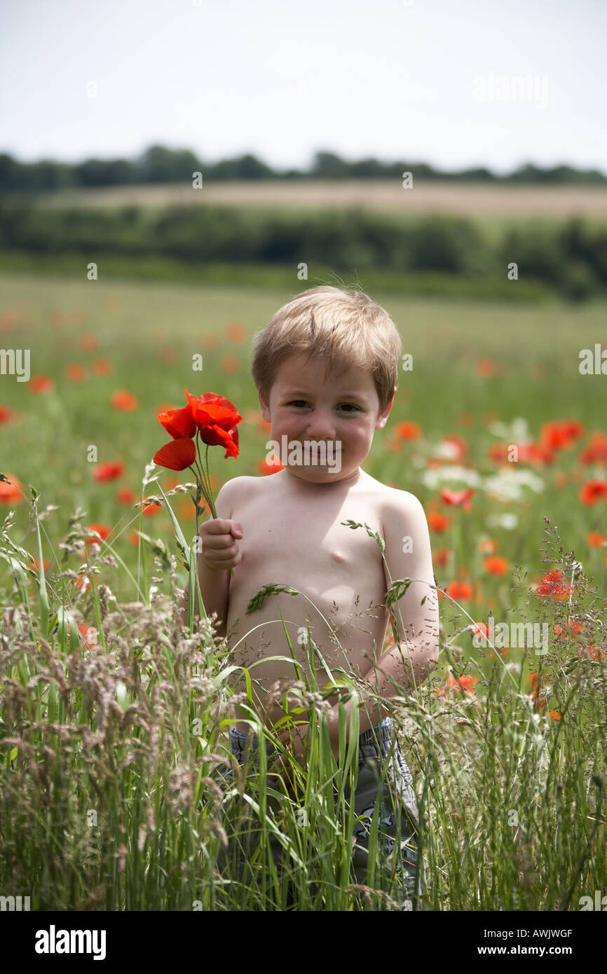 Boy child in poppy field holding poppy on Temple Island near Henley on ...