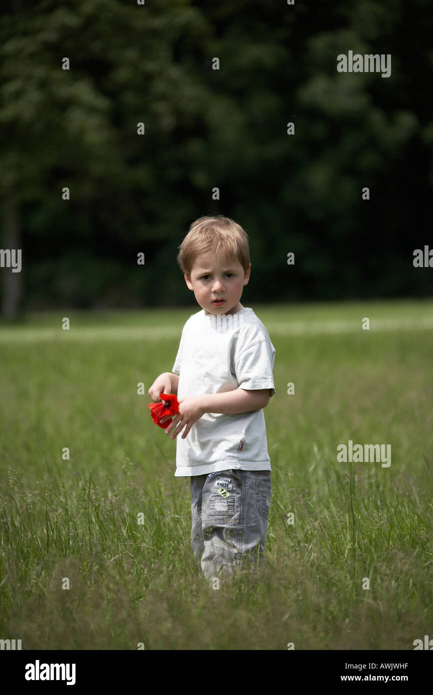 Boy child holding poppy in long grass on Temple Island near Henley on ...