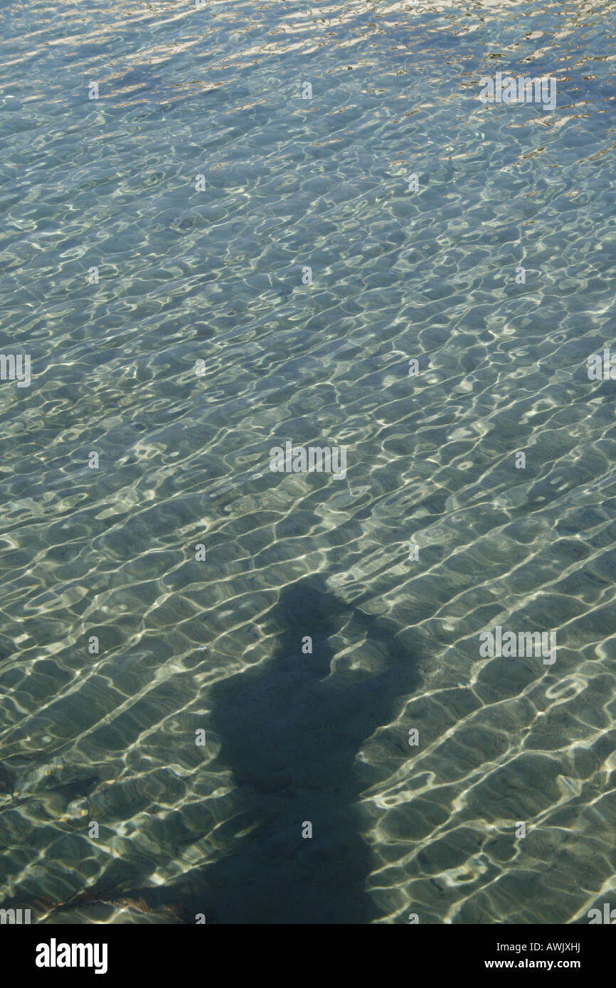 person's shadow in water Stock Photo - Alamy