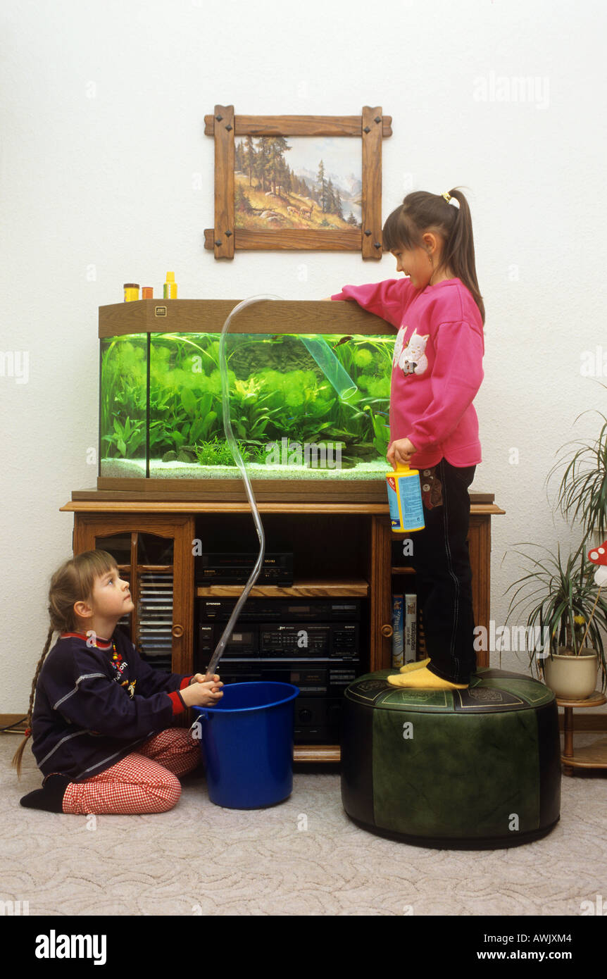 two girls cleaning an aquarium Stock Photo - Alamy