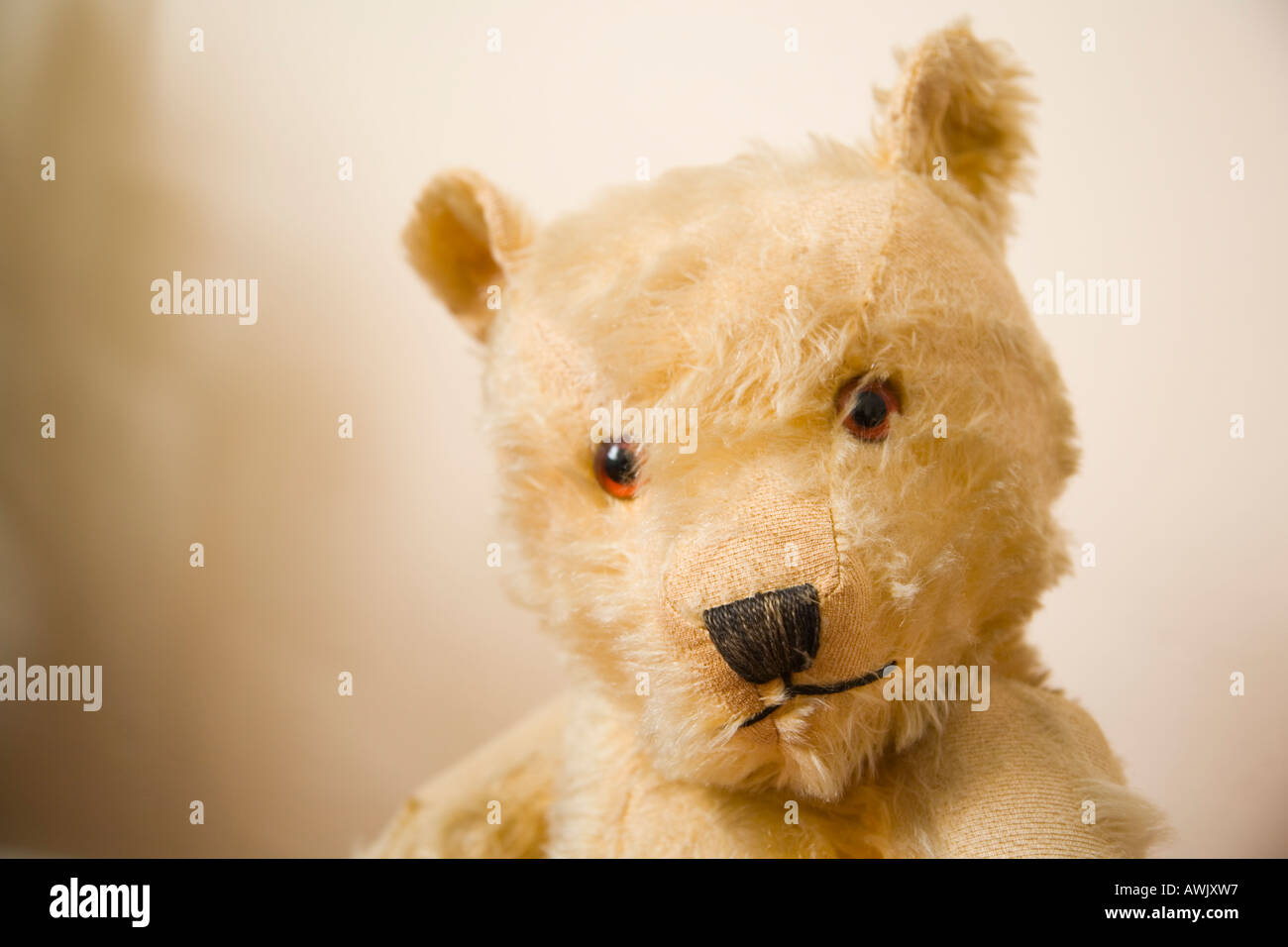 Old threadbare teddy bear hi-res stock photography and images - Alamy