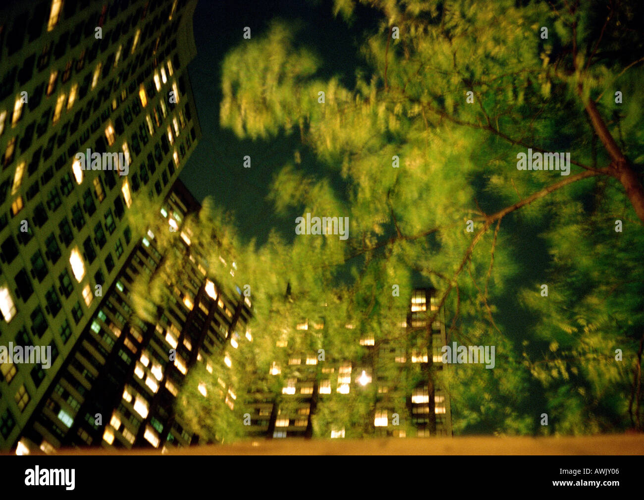 Building lights and tree at night, view from below, blurred Stock Photo ...