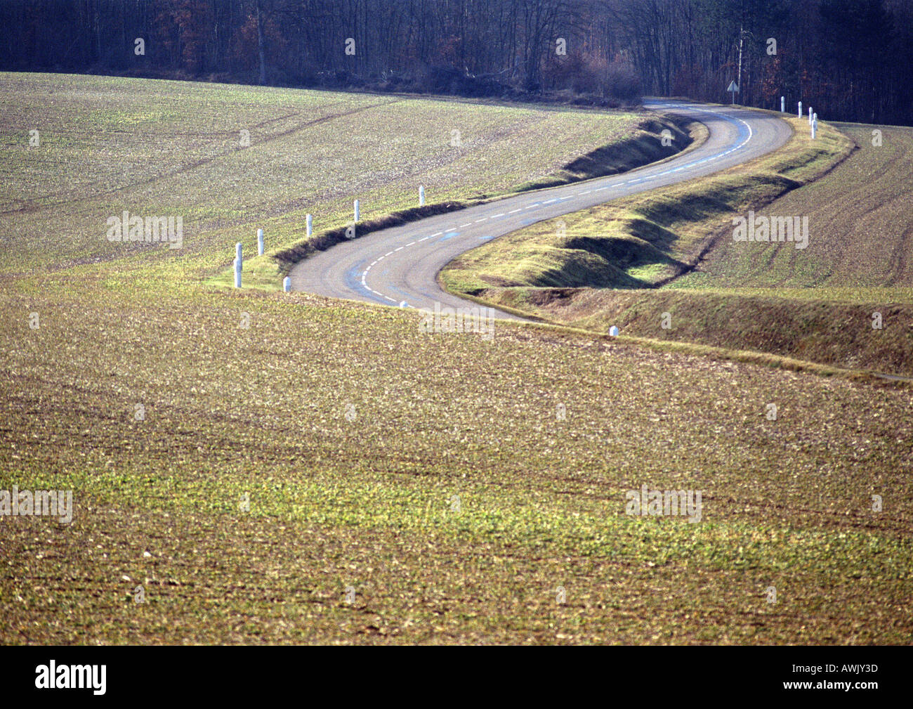 Road through crop fields Stock Photo - Alamy