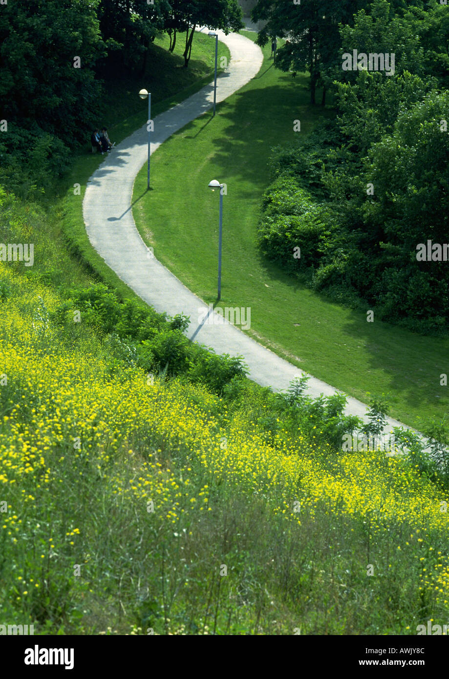 Road curving through grassy area Stock Photo - Alamy
