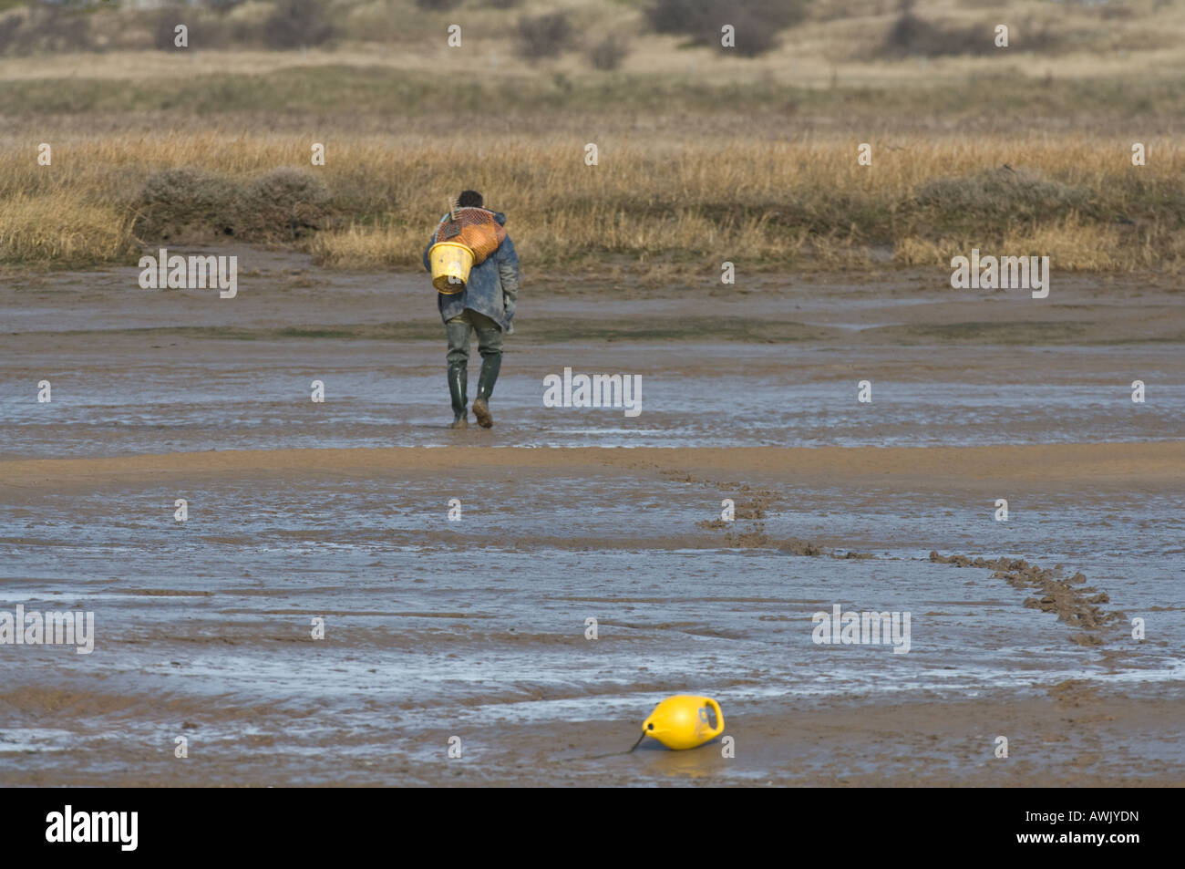 Bait Digging Beach High Resolution Stock Photography and Images - Alamy