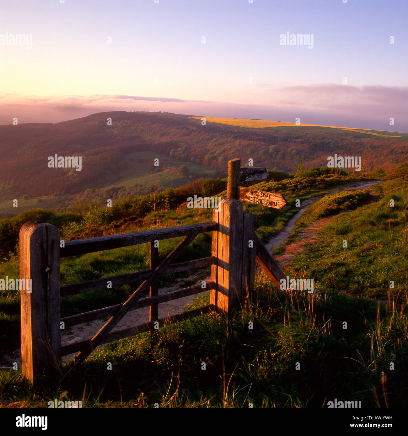 Sutton Bank signpost North Yorkshire England UK Stock Photo - Alamy