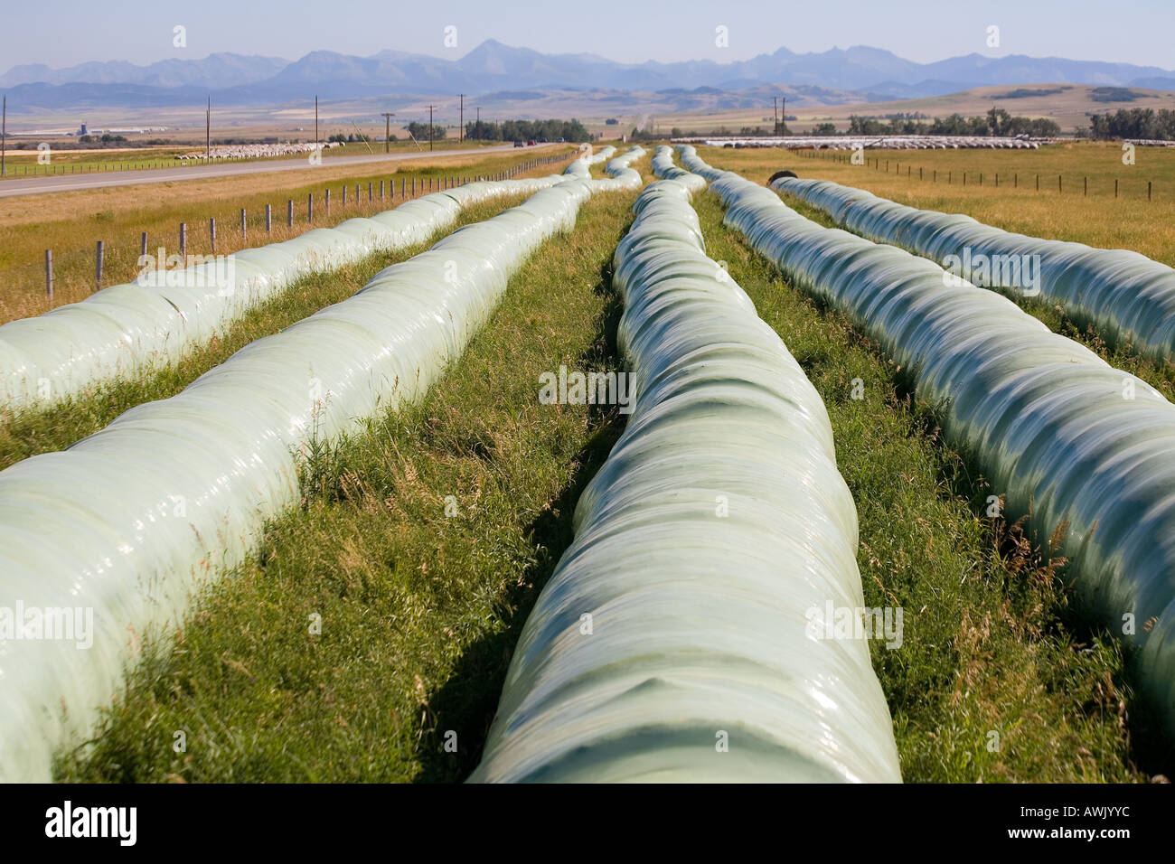 Silage stored hi-res stock photography and images - Alamy