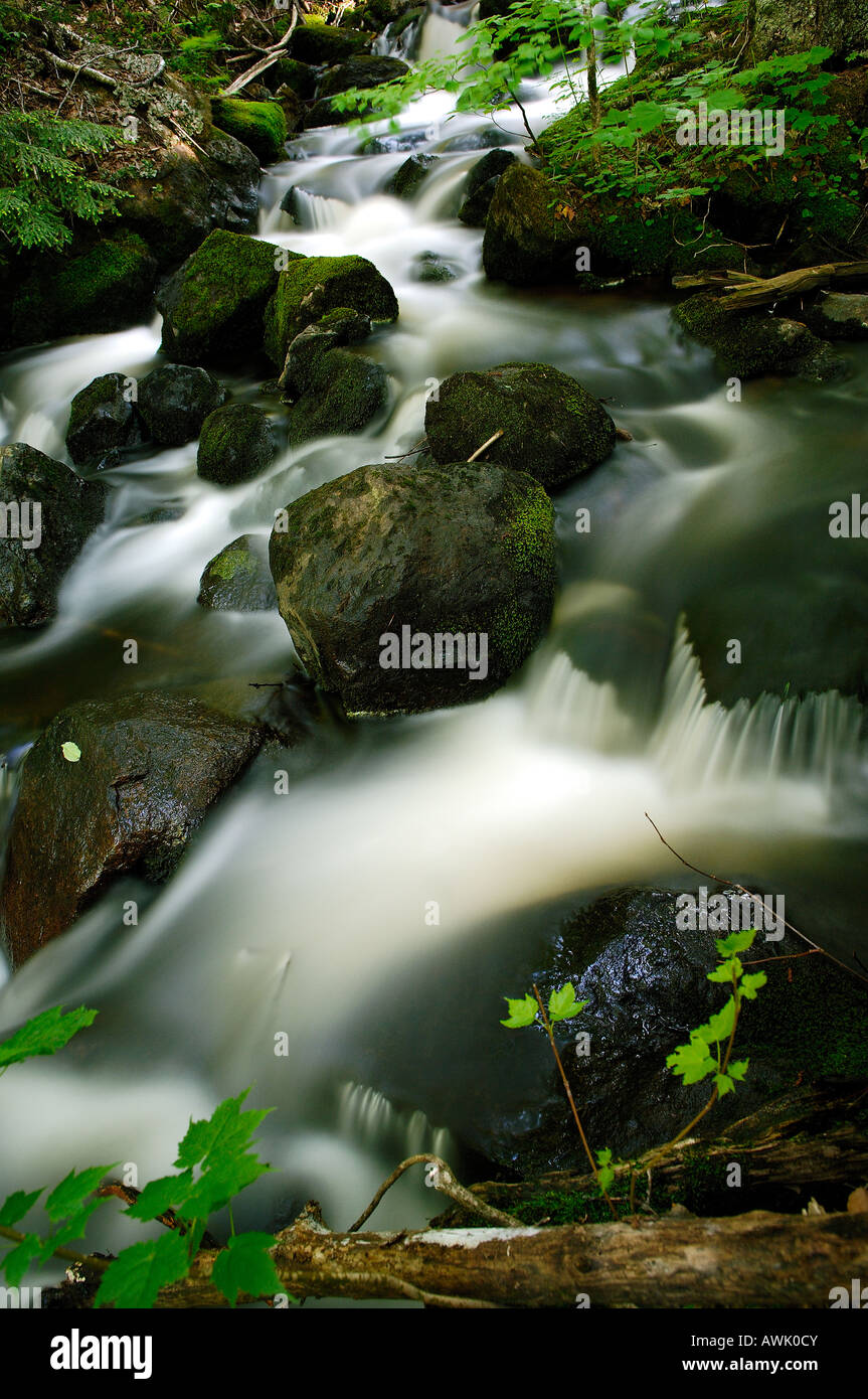Long Shot of a Stream Stock Photo - Alamy