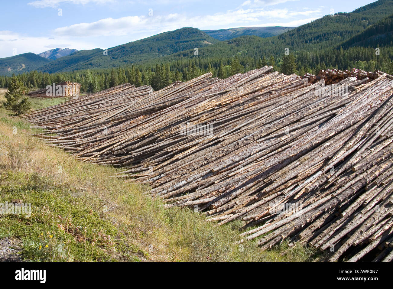 Deforestation Stock Photos & Deforestation Stock Images - Alamy