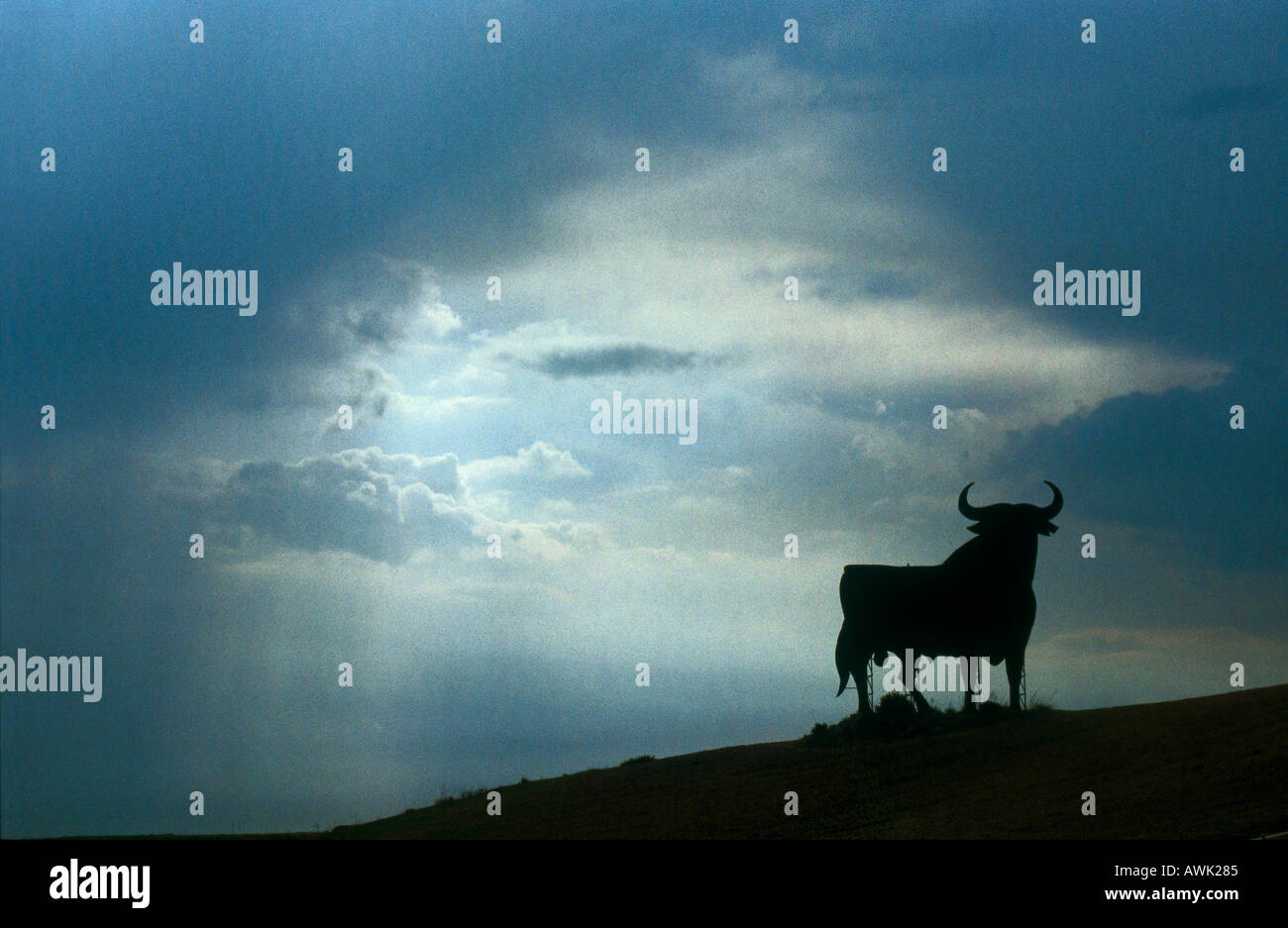 Silhouette of bull standing on landscape hi-res stock photography and ...