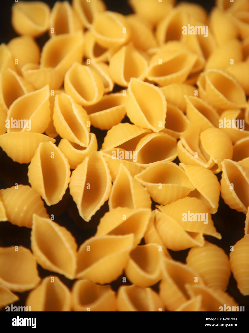 Pasta Shells (Conchiglie Stock Photo - Alamy