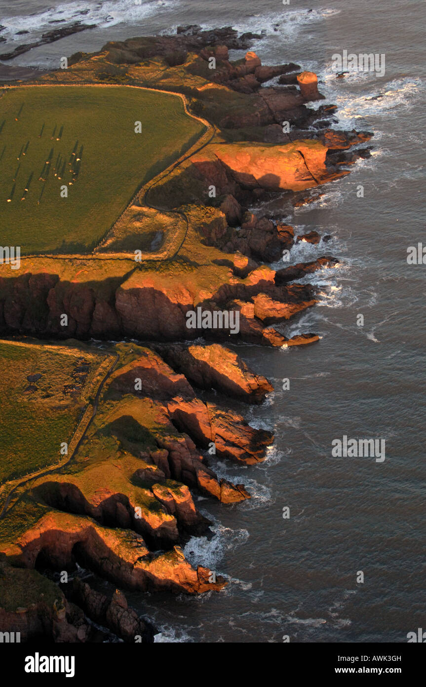 Arbroath Cliffs High Resolution Stock Photography and Images - Alamy