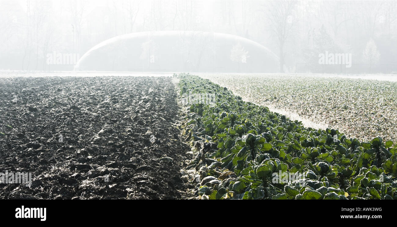 Empty field in winter Stock Photo - Alamy