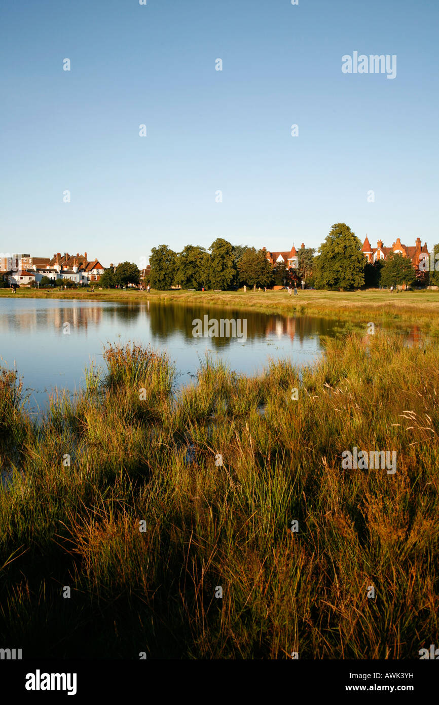 Rushmere Pond on Wimbledon Common, Wimbledon, London Stock Photo - Alamy
