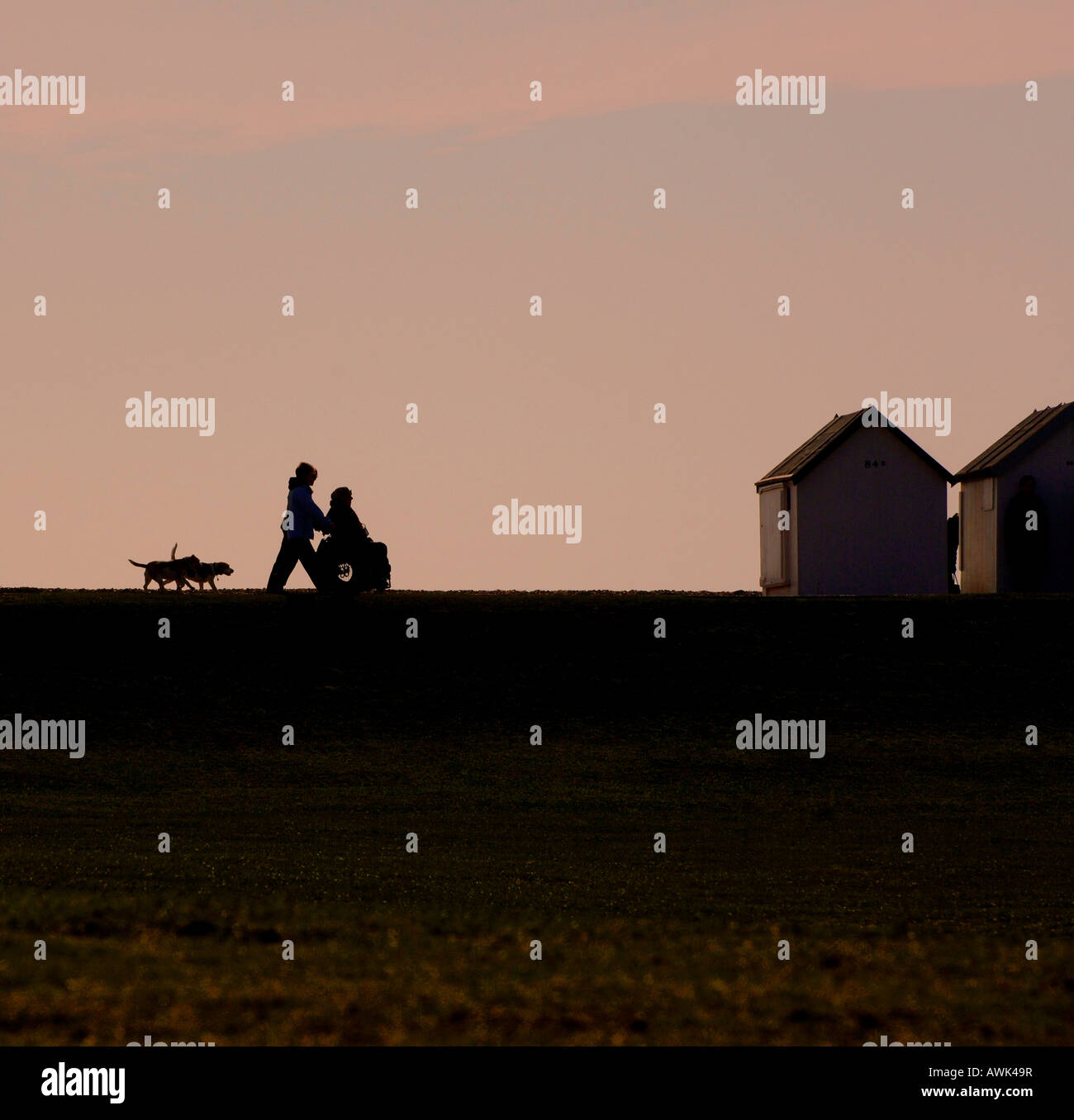 A winter afternoon stroll on Ferring Seafront walking the dogs. Picture ...