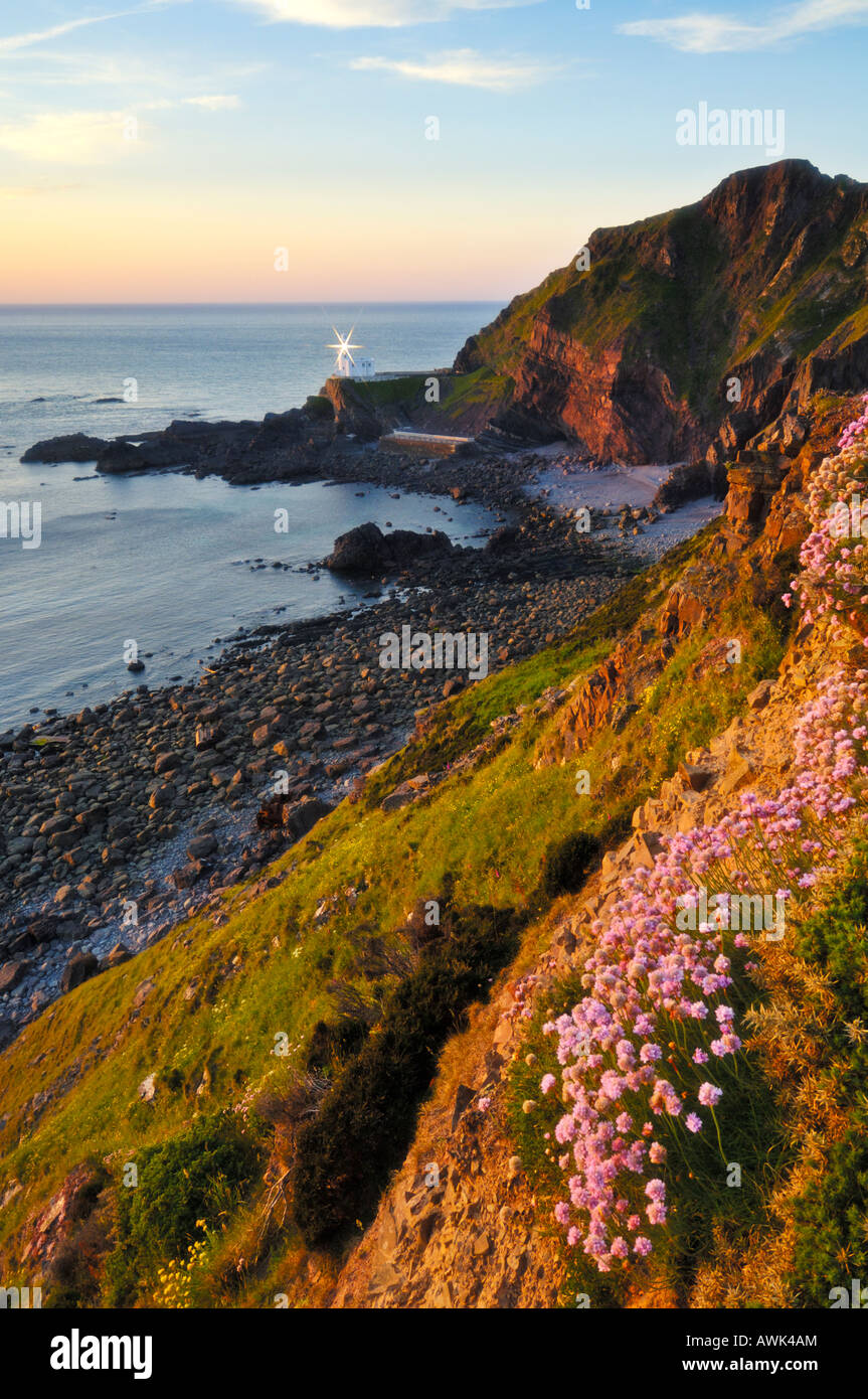 Hartland peninsula hi-res stock photography and images - Alamy