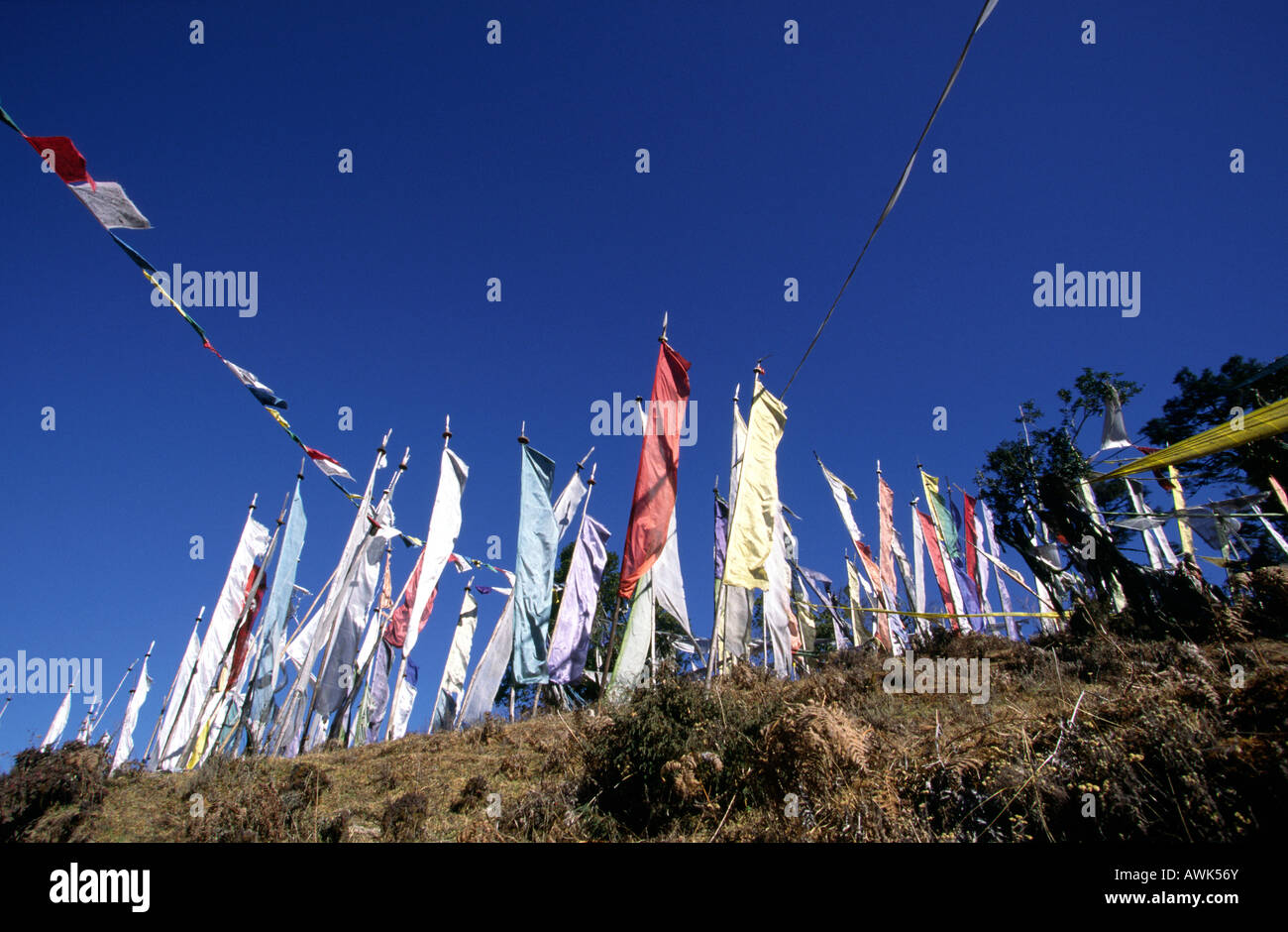 Colourful prayer flags blowing in hi-res stock photography and images ...