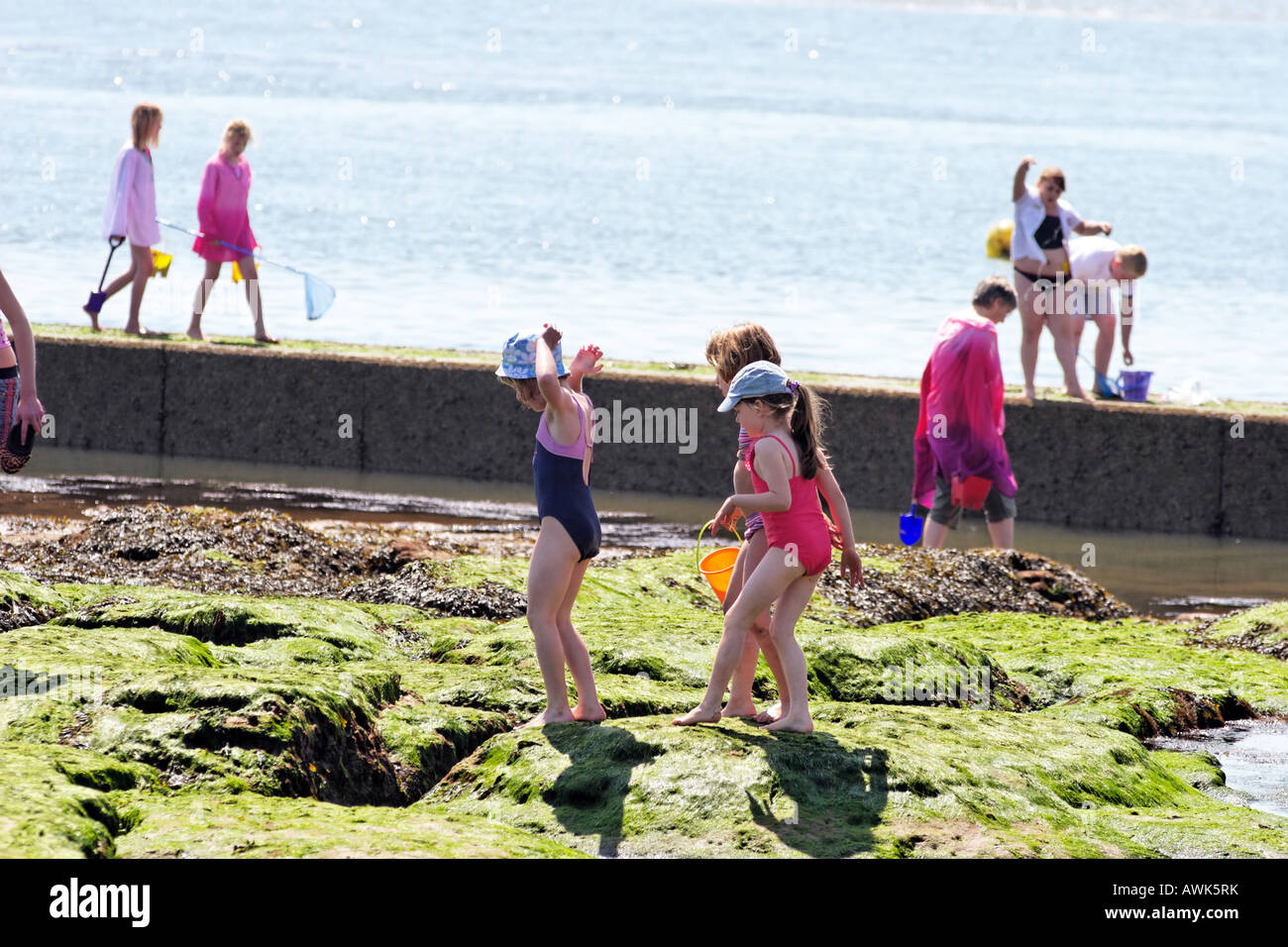 Children playing on the seaweed covered rocks at Exmouth Beach Stock ...