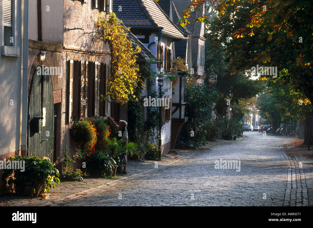 Lane with cobblestones hi-res stock photography and images - Alamy