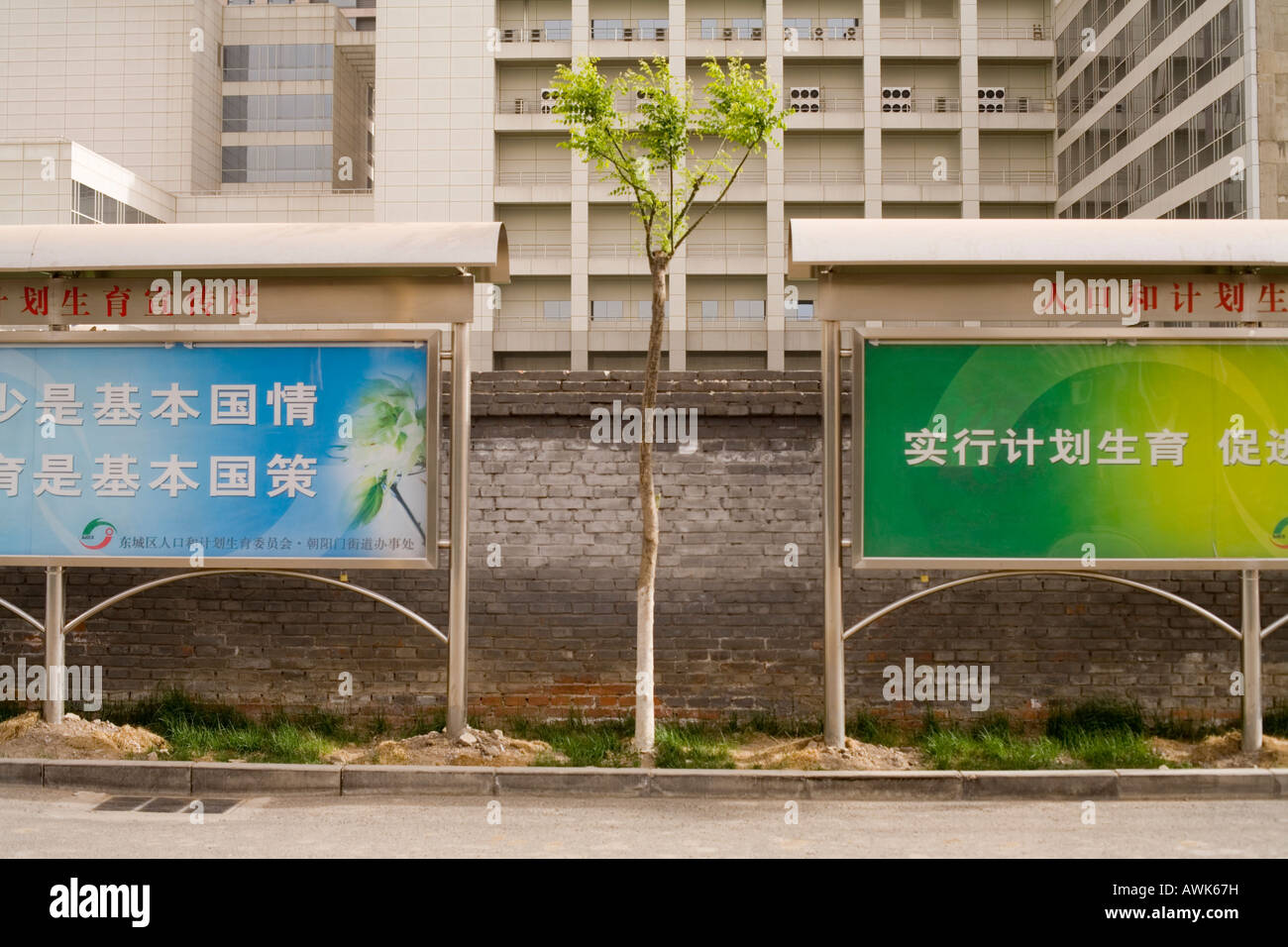 A lone tree with Billboards in Beijing,The People's Republic of China ...
