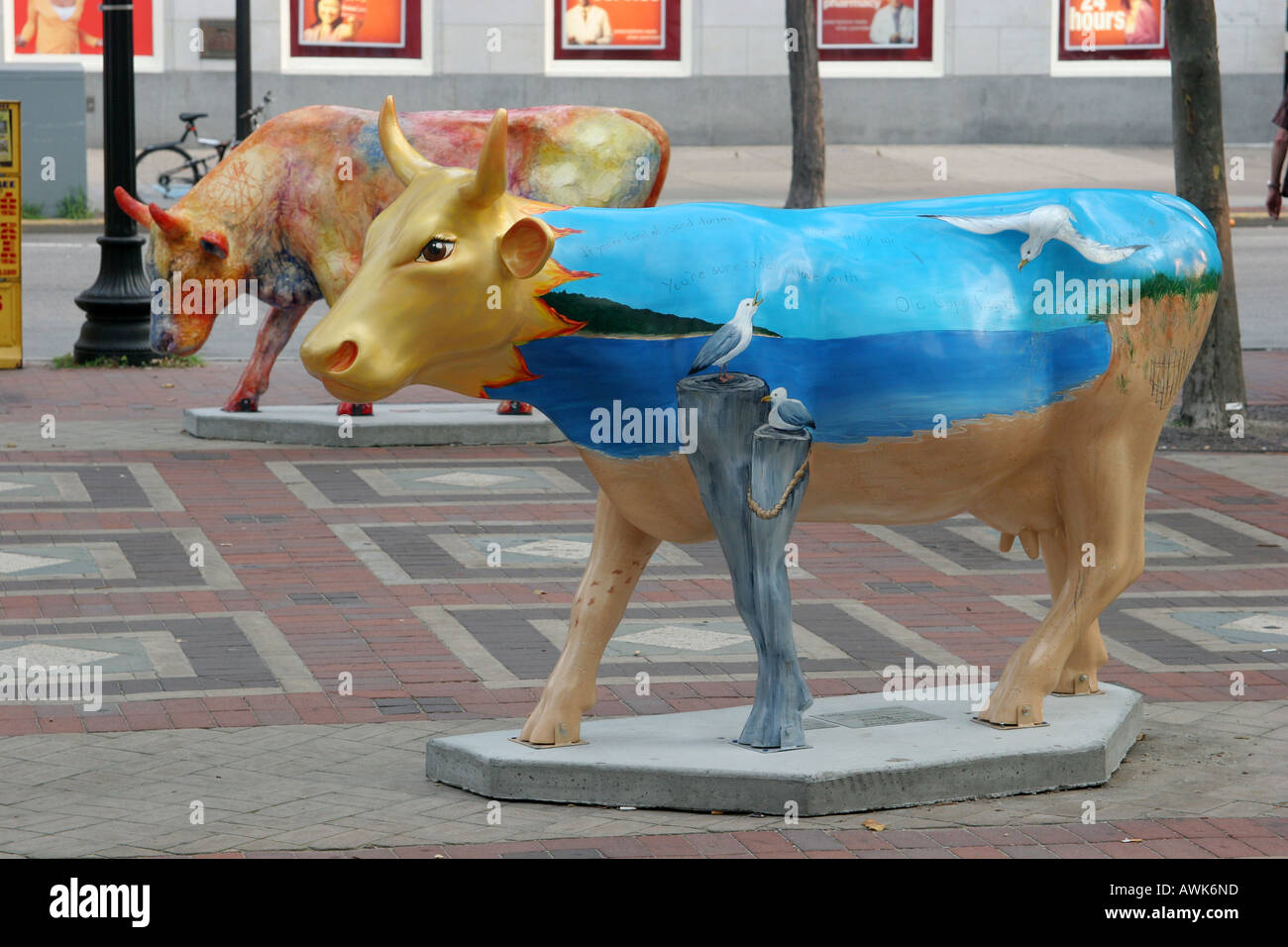 Cowd hi-res stock photography and images - Alamy