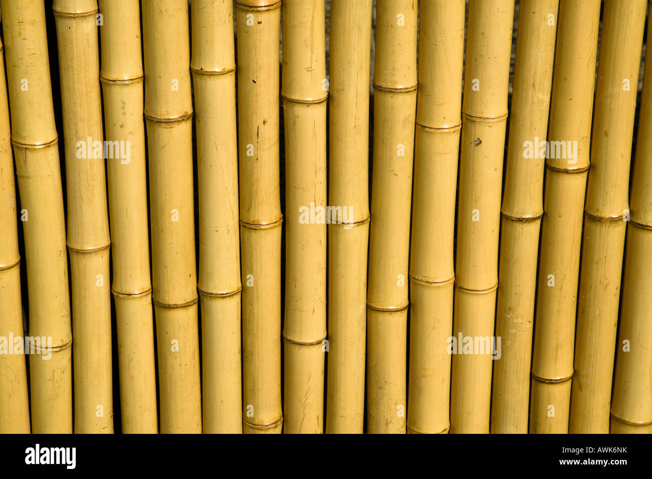 Bamboo wall San Diego, California, USA Stock Photo - Alamy