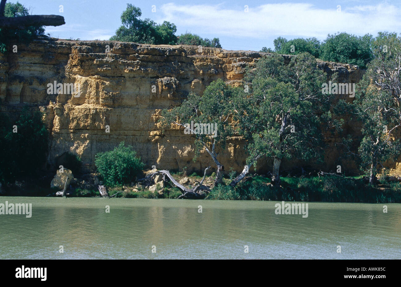 Yellow cliffs at riverside, Murray River, Australia Stock Photo - Alamy