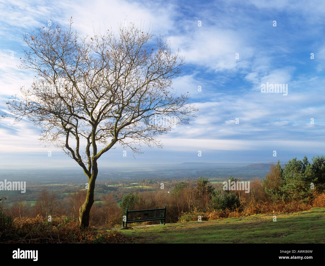 Pitch Hill Surrey High Resolution Stock Photography and Images - Alamy
