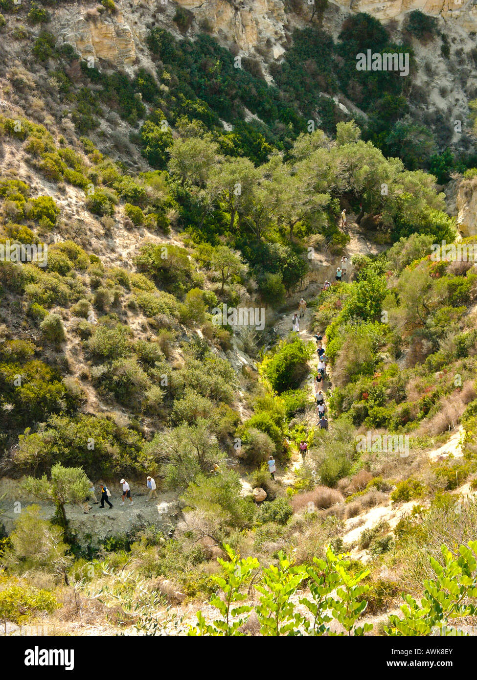 Ramblers walking along a dry gully path in the "Aphrodite Hills" Cyprus ...