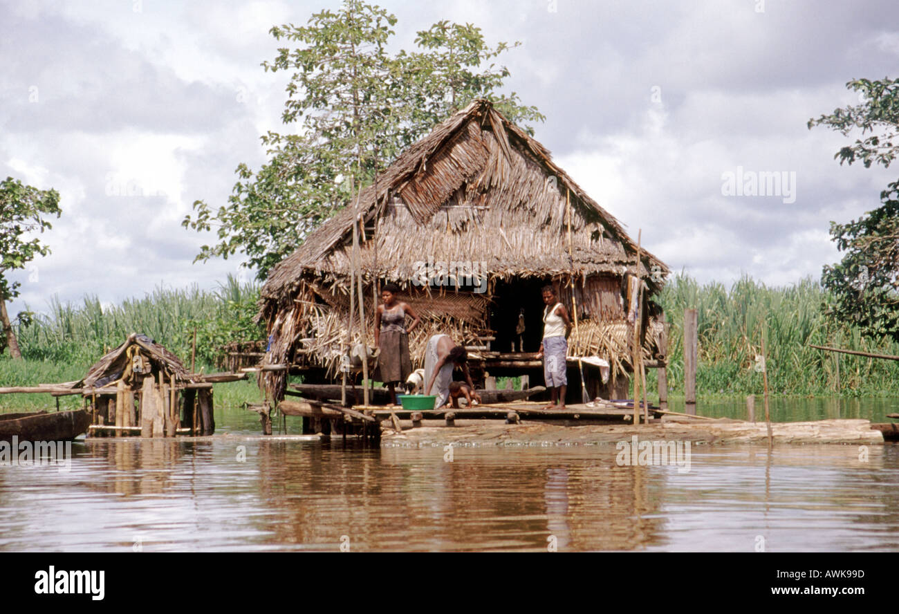 Papu 0430 hi-res stock photography and images - Alamy