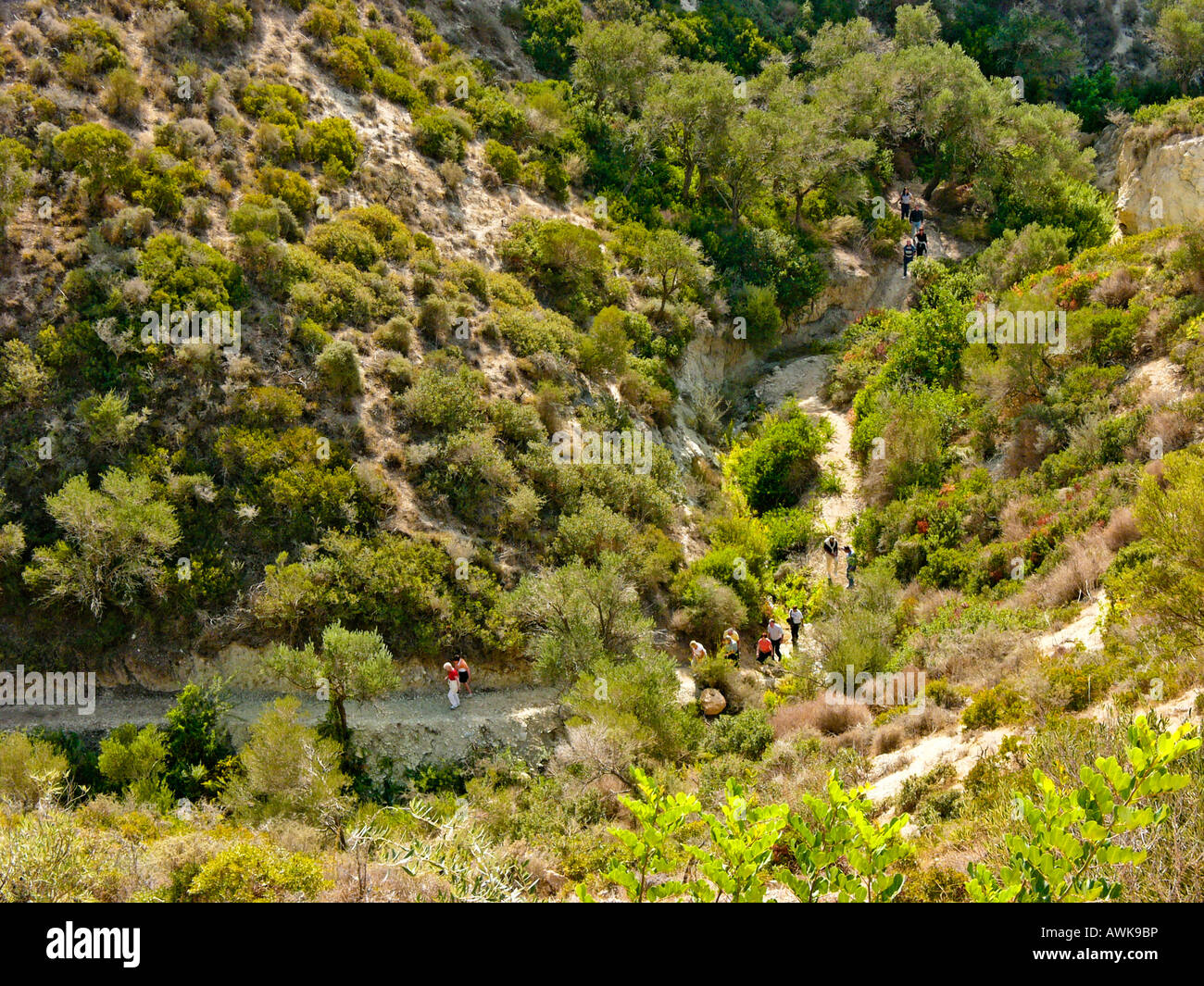 Ramblers walking along a dry gully path in the "Aphrodite Hills" Cyprus ...
