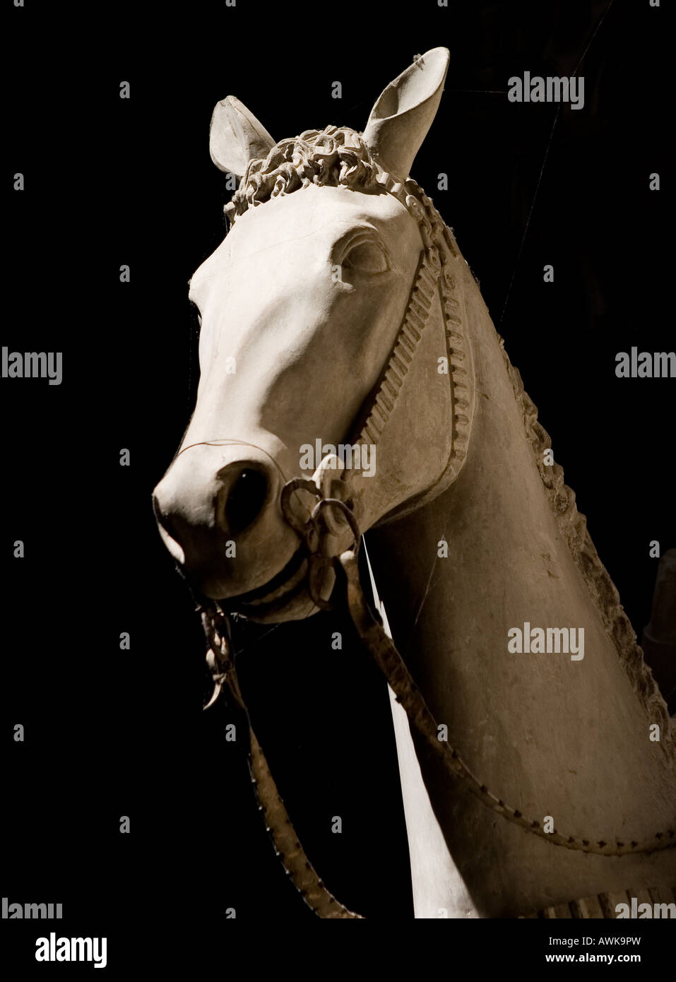 Bamberg rider bamberg hi-res stock photography and images - Alamy
