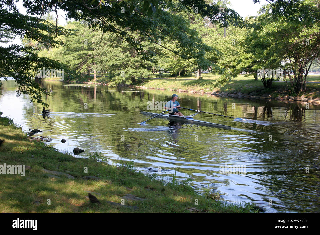 Charles river lagoon hi-res stock photography and images - Alamy