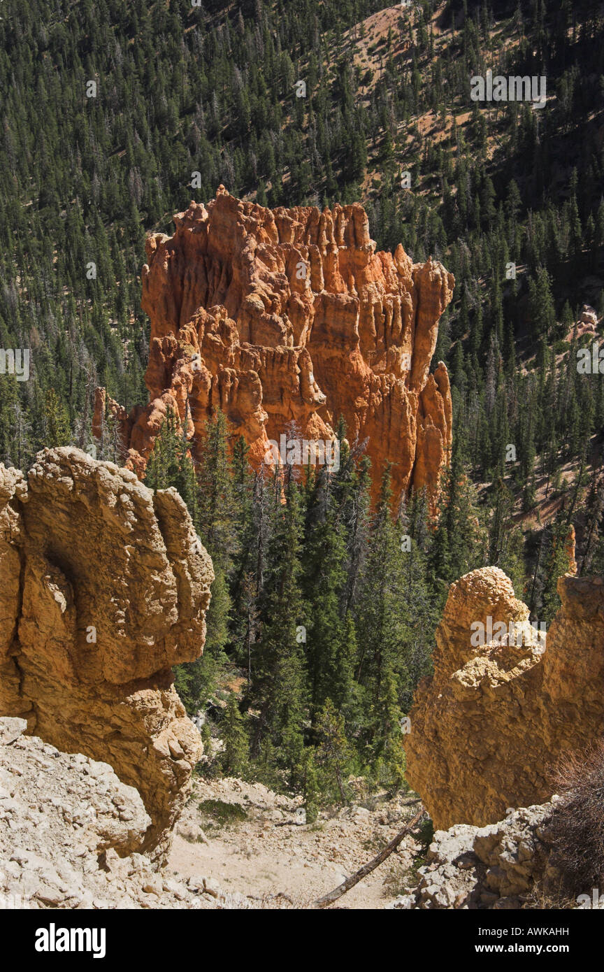 Bryce Canyon from Rainbow Point, Utah Stock Photo - Alamy
