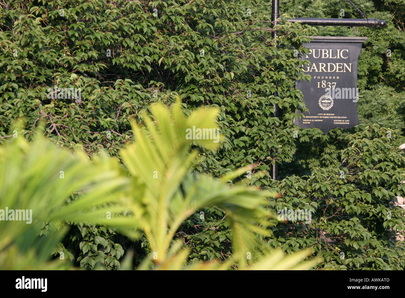 Boston public garden bench hi-res stock photography and images - Alamy