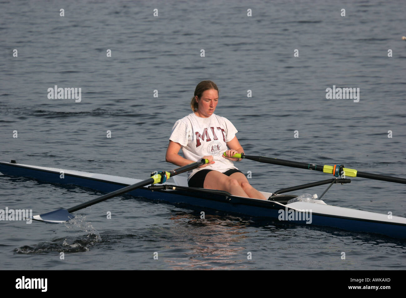 Female rower in MIT shirt on the Charles River in Boston Massachusetts ...