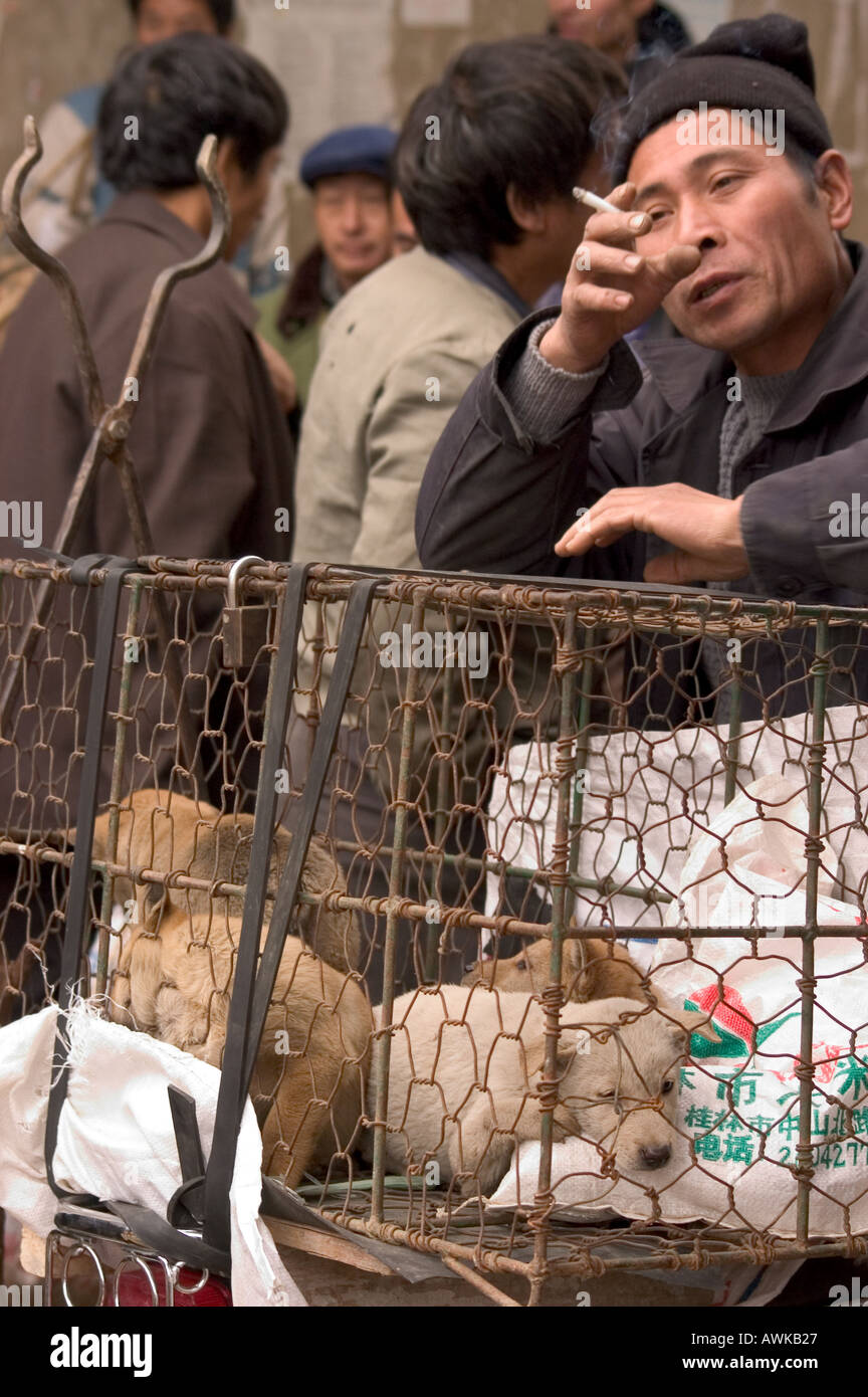 pet dogs being sold Fuli market Yangshuo Guillin tourist area Guangxi ...