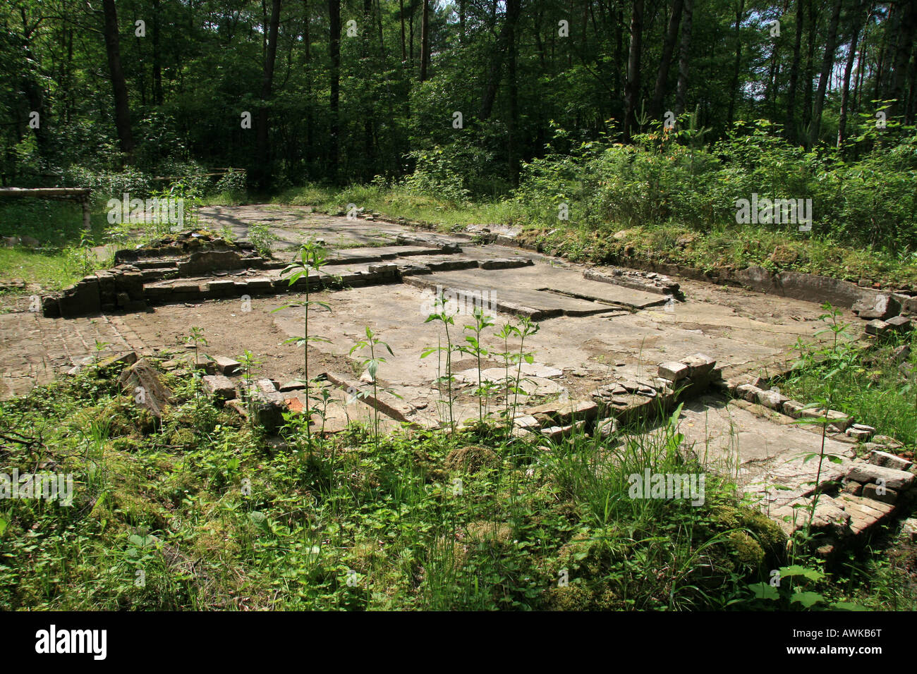 The remains of the latrine block behind Blocks 9 & 10 at the former ...