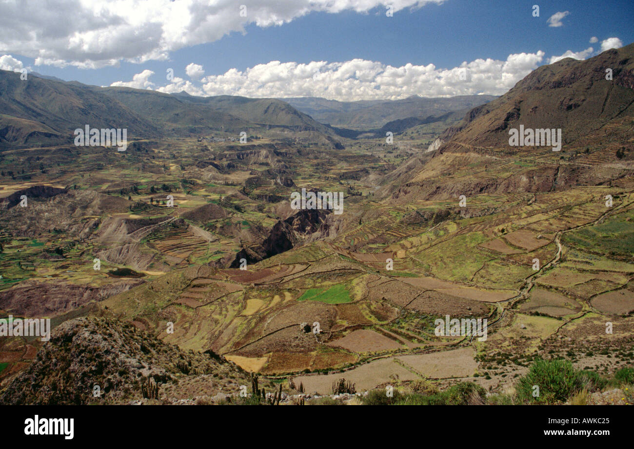 Colourful farming fields near Chivay in Peru Stock Photo - Alamy