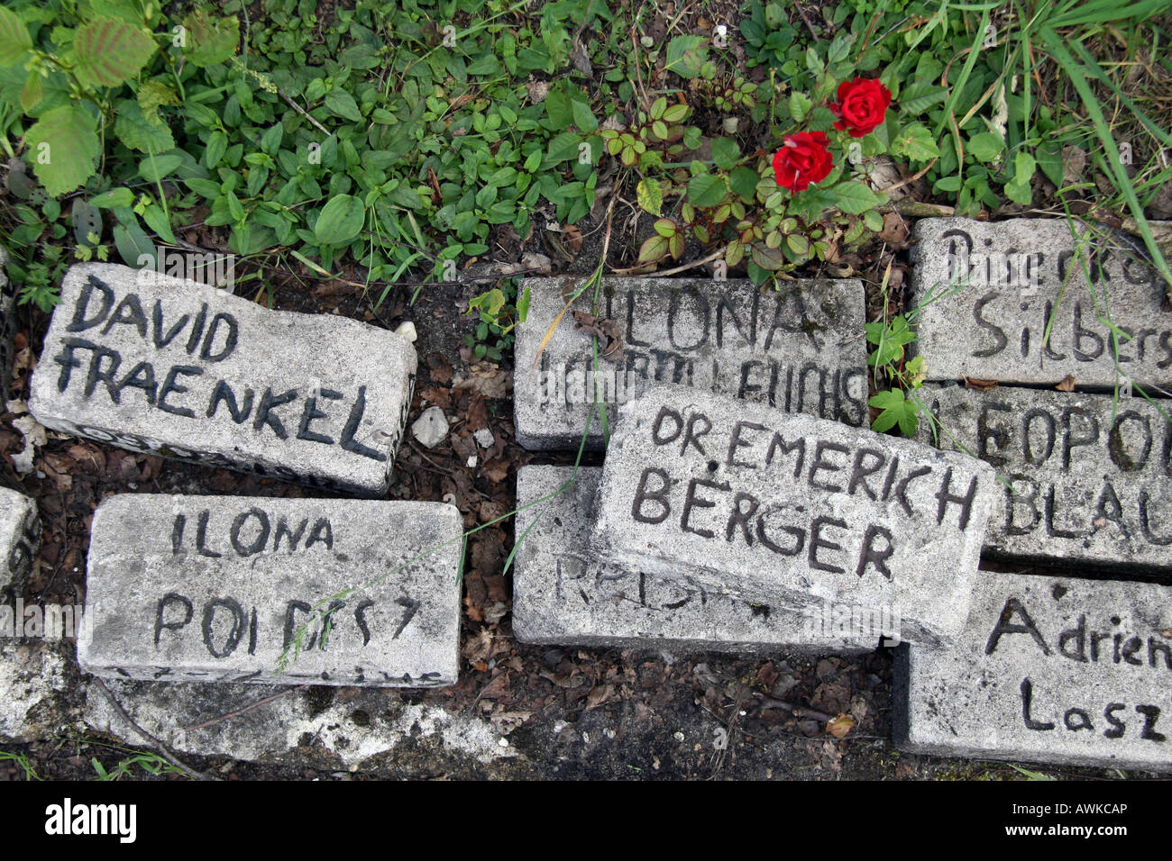 Margot Frank High Resolution Stock Photography and Images - Alamy
