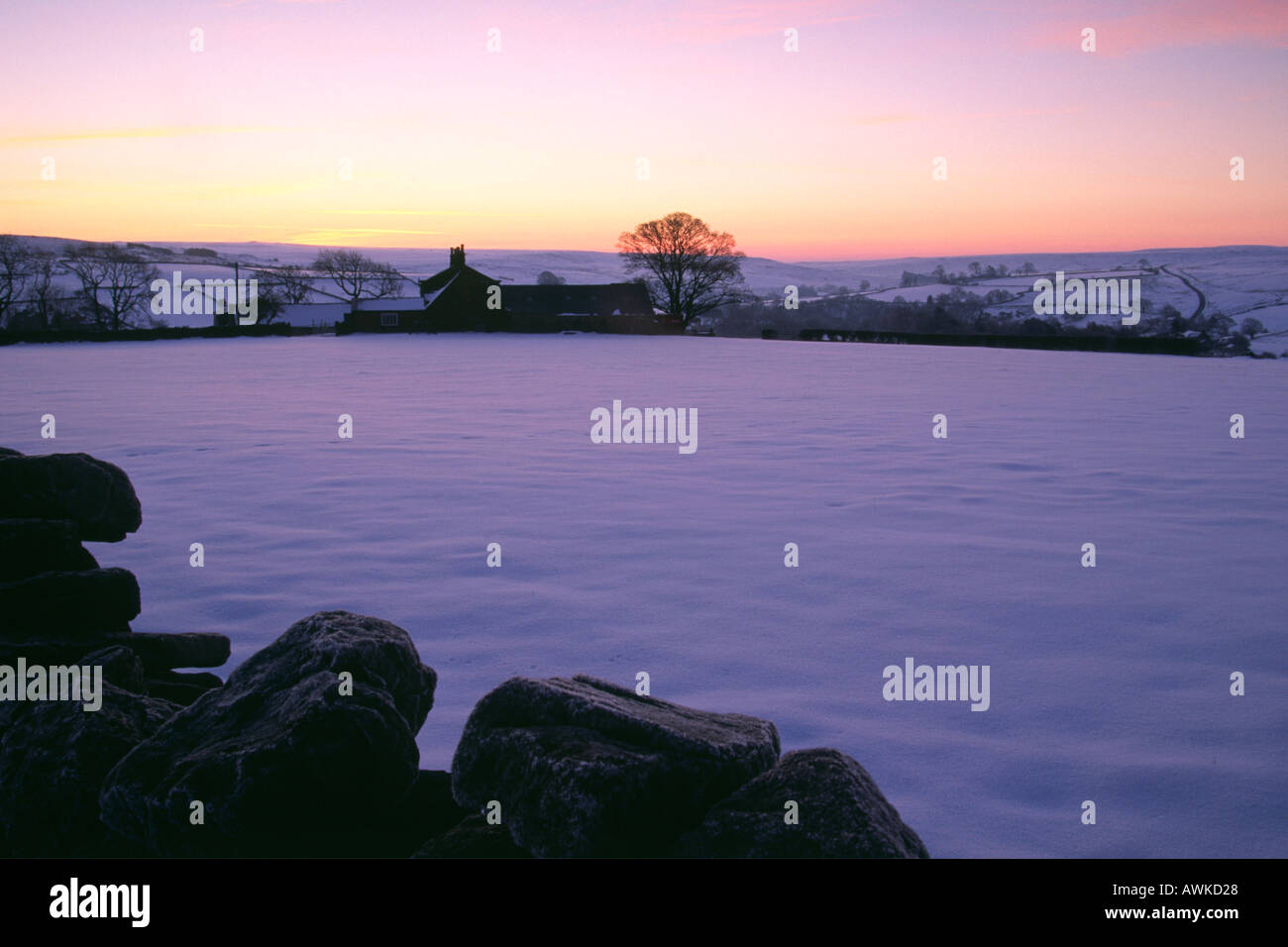 Purple skies of twilight over snow covered fields of a hill farm Stock ...