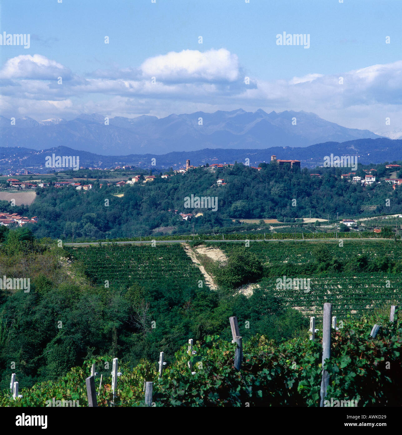 Asti province hi-res stock photography and images - Alamy