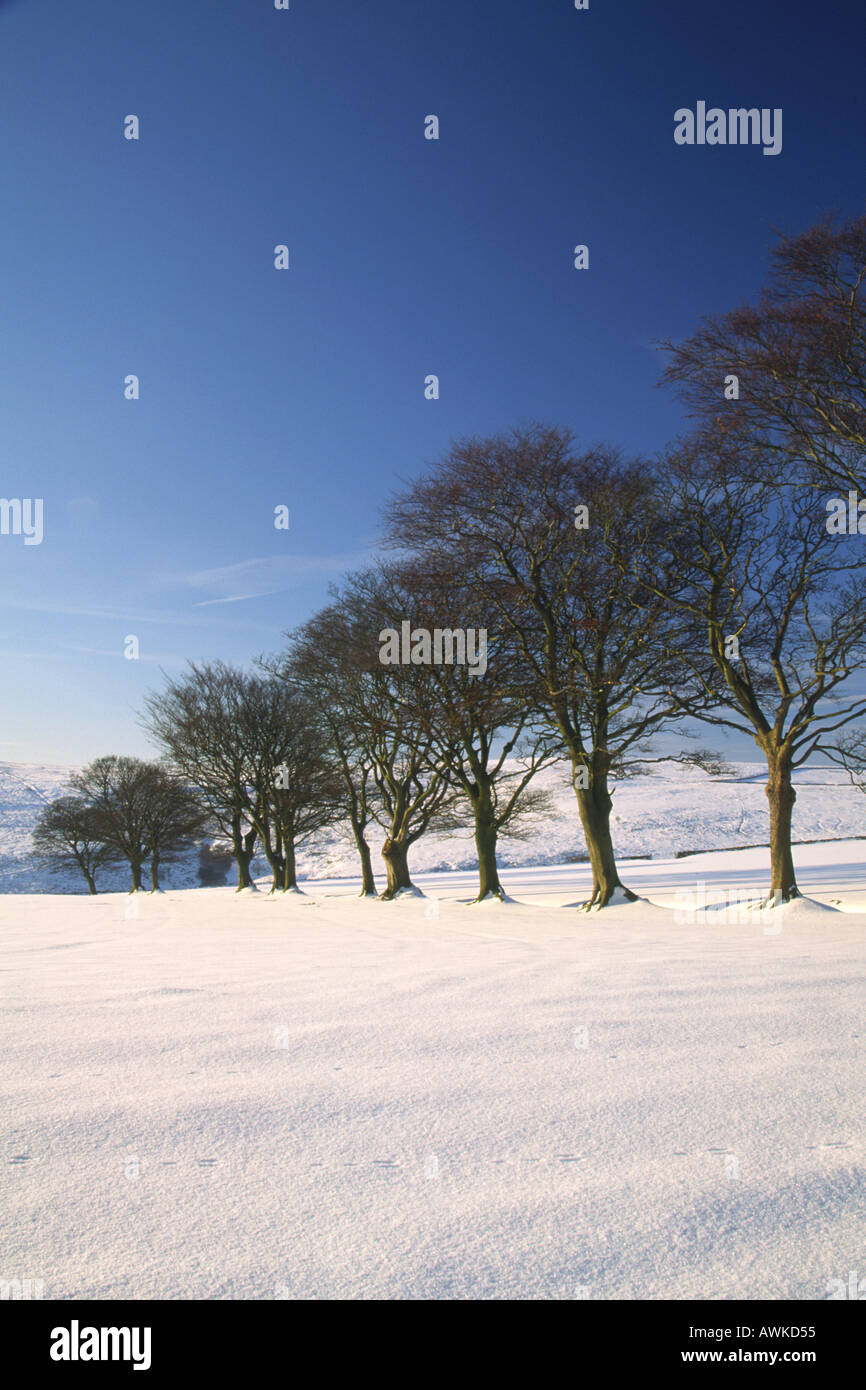Frozen snow stephenstreetimages hi-res stock photography and images - Alamy